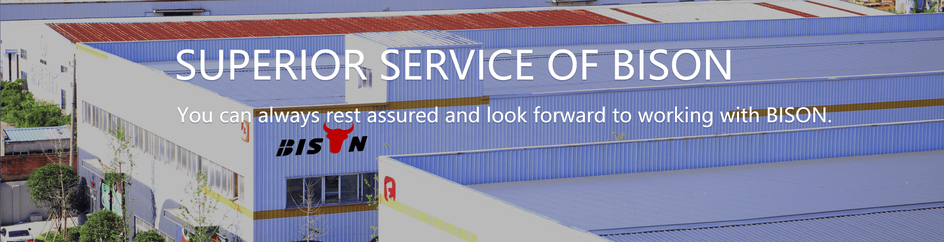 Bison Power Professional Manufacture|Taizhou Bison CO., LTD