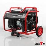 China Portable Gasoline Generator Set Suppliers | BISON